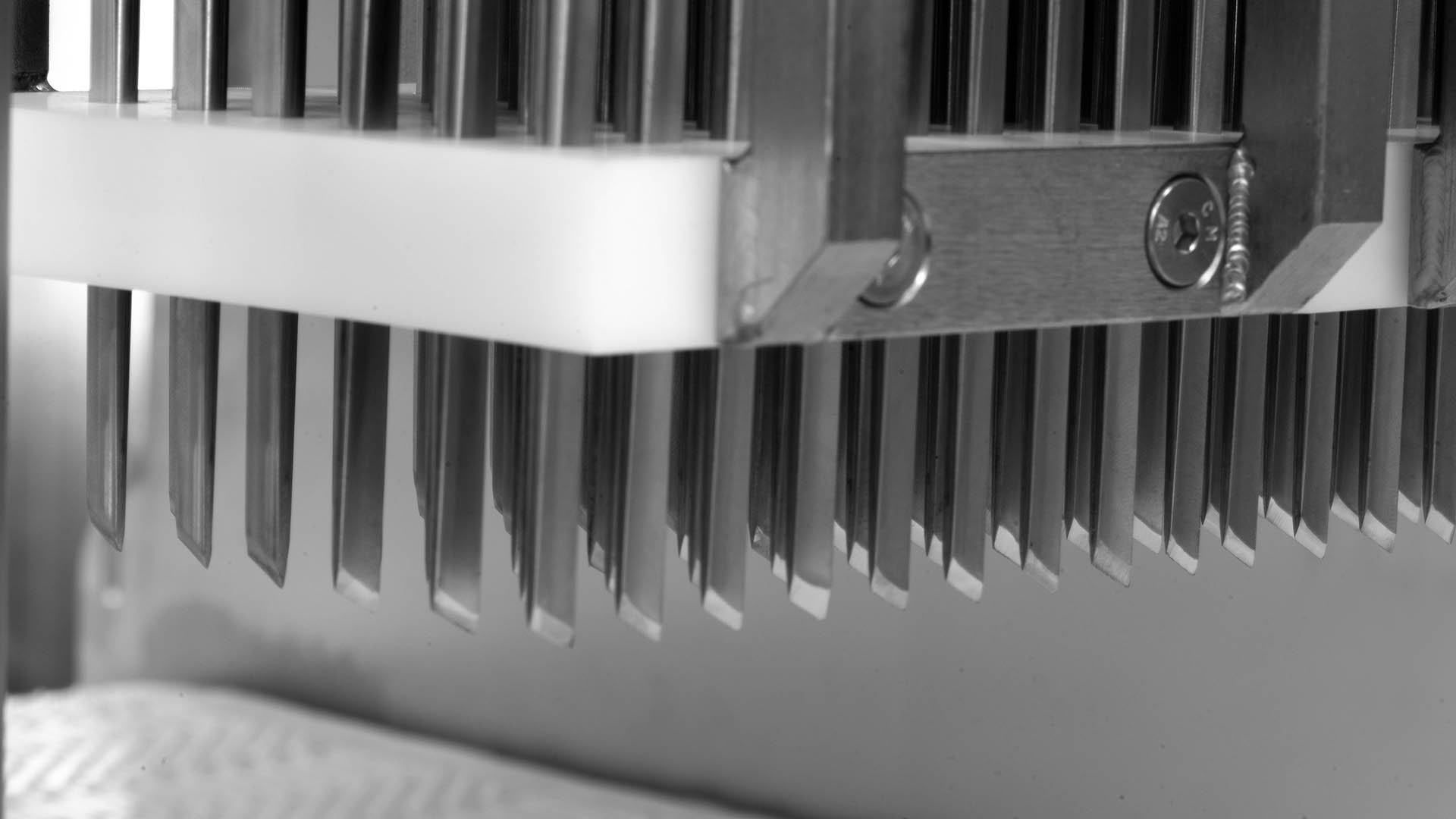 Tenderizer Heads | Fomaco